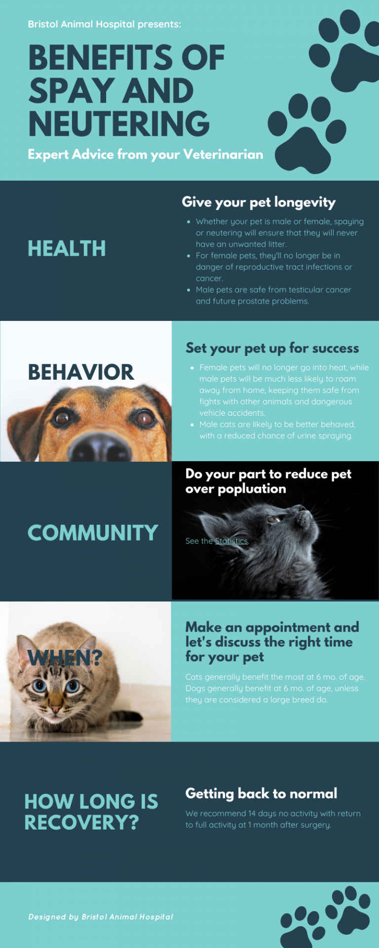 Spay And Neuter – 101 Pet Vet